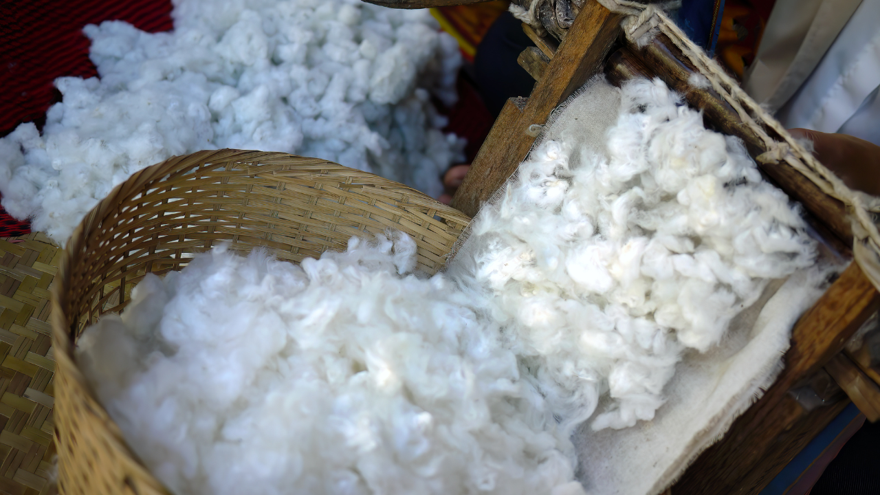 Día Mundial del Algodón: Una fibra vital para el mundo