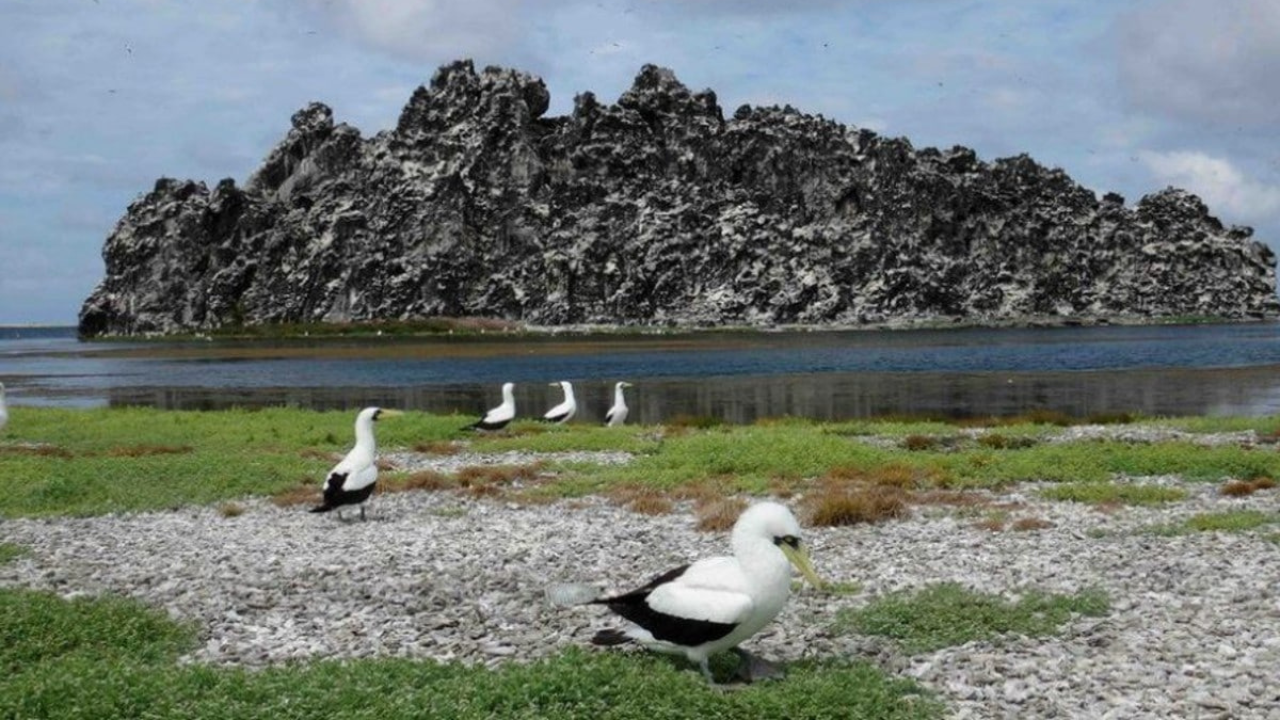 Isla Clipperton: la pérdida del último territorio mexicano