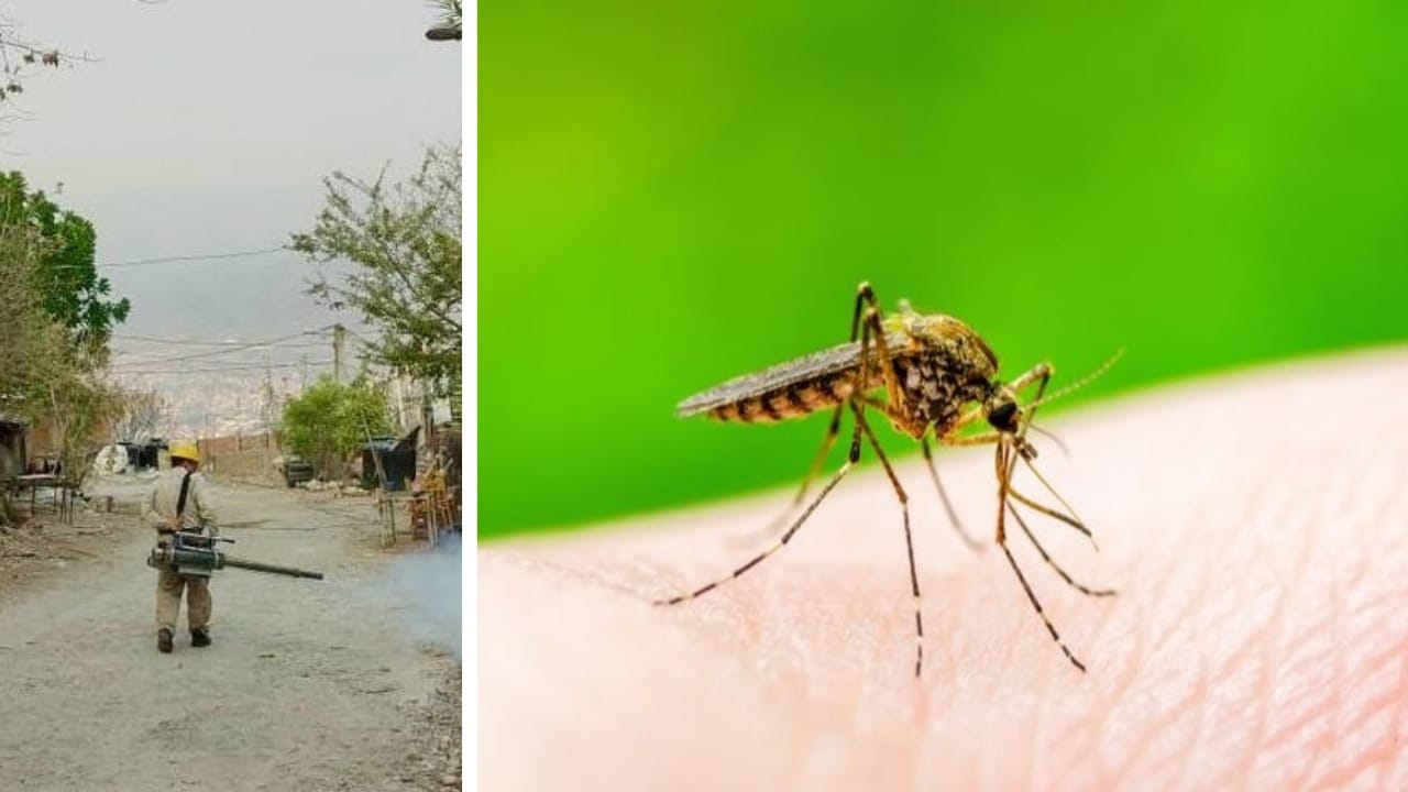 Aumentan casos de dengue en Guerrero Aumentan casos de dengue en Guerrero
